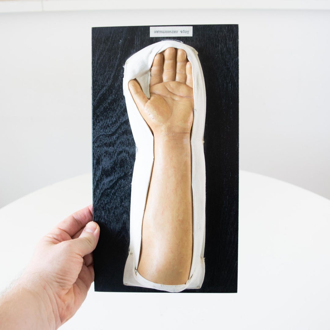 Vintage Wax Anatomical Hand Model: Skin Anatomy - Etsy