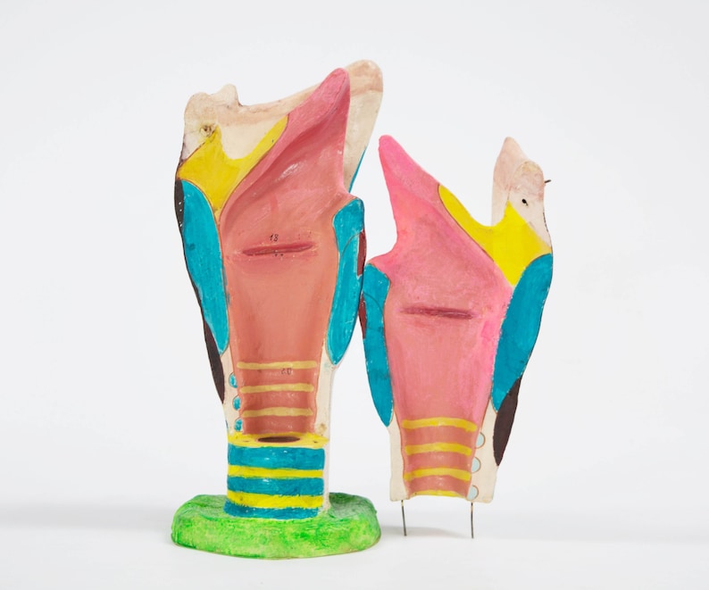 Vintage Anatomical Larynx Model. 1970s Anatomy. Human Larynx - Etsy