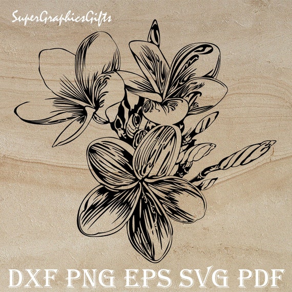 Flower Vector Floral Vector Flowers SVG Flower File Flower | Etsy