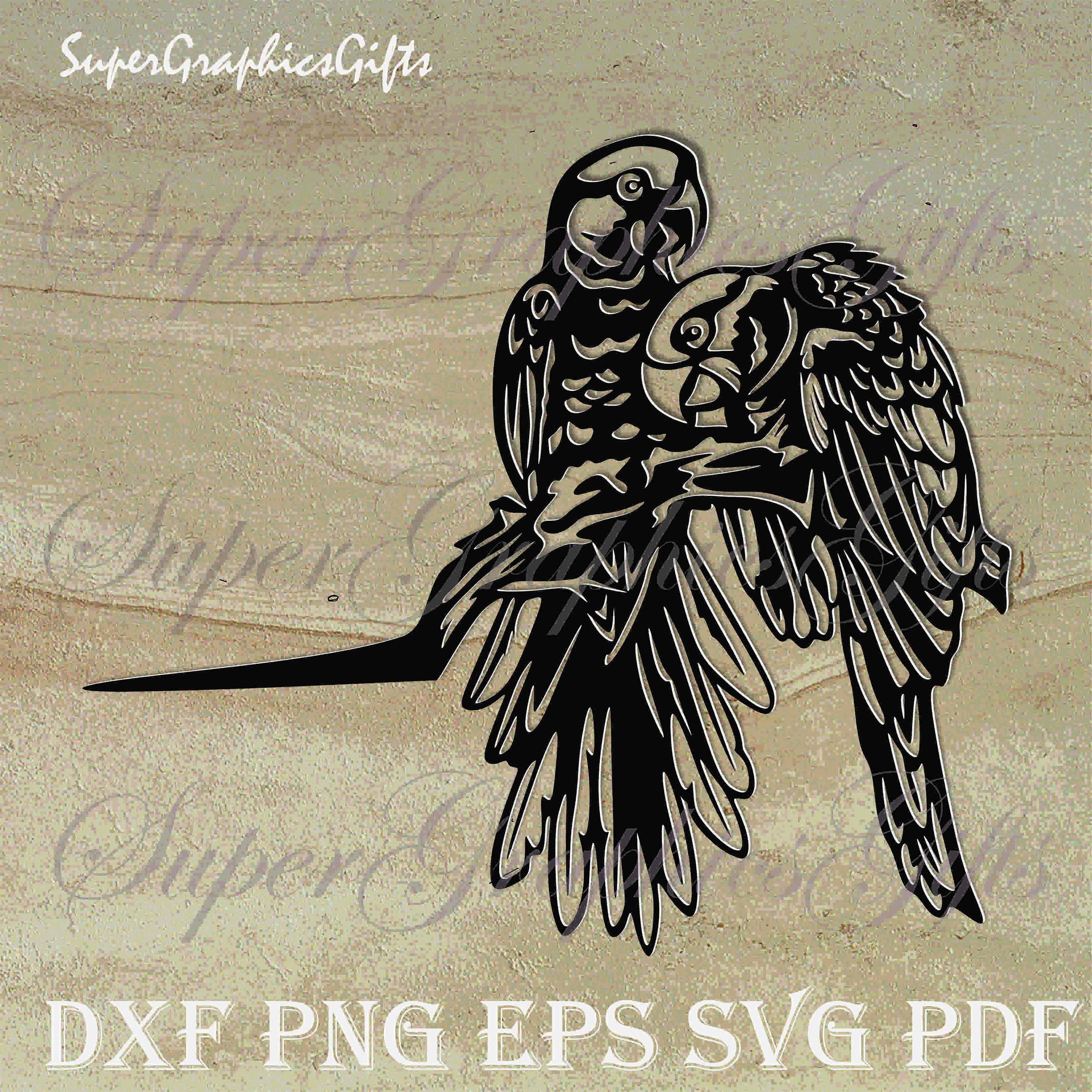 Parrot Svgtropical Bird Svgexotic Bird Svgfiles for - Etsy