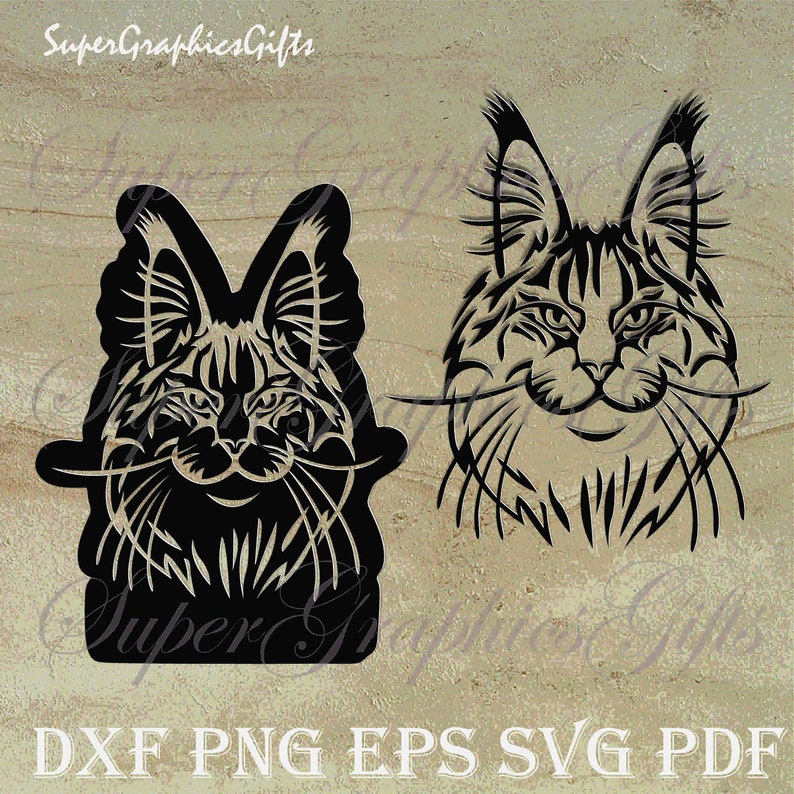 Maine Coon Svg Maine Coon Cut File Maine Coon Cat Svg Cat Svg - Etsy
