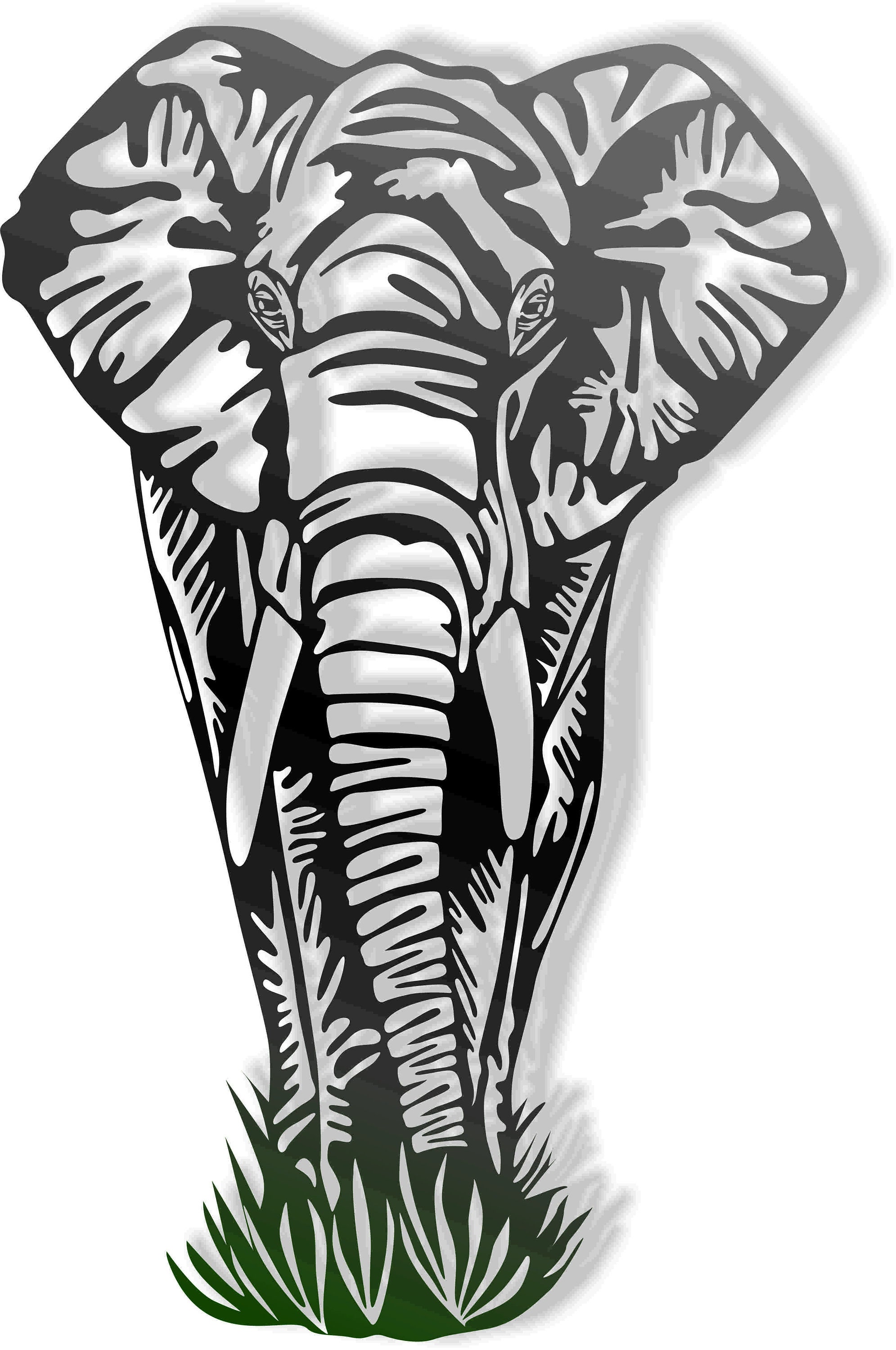 Elephant Svg Cut File, Safari Animal Svg, Africa Wild Life, Silhouettes ...