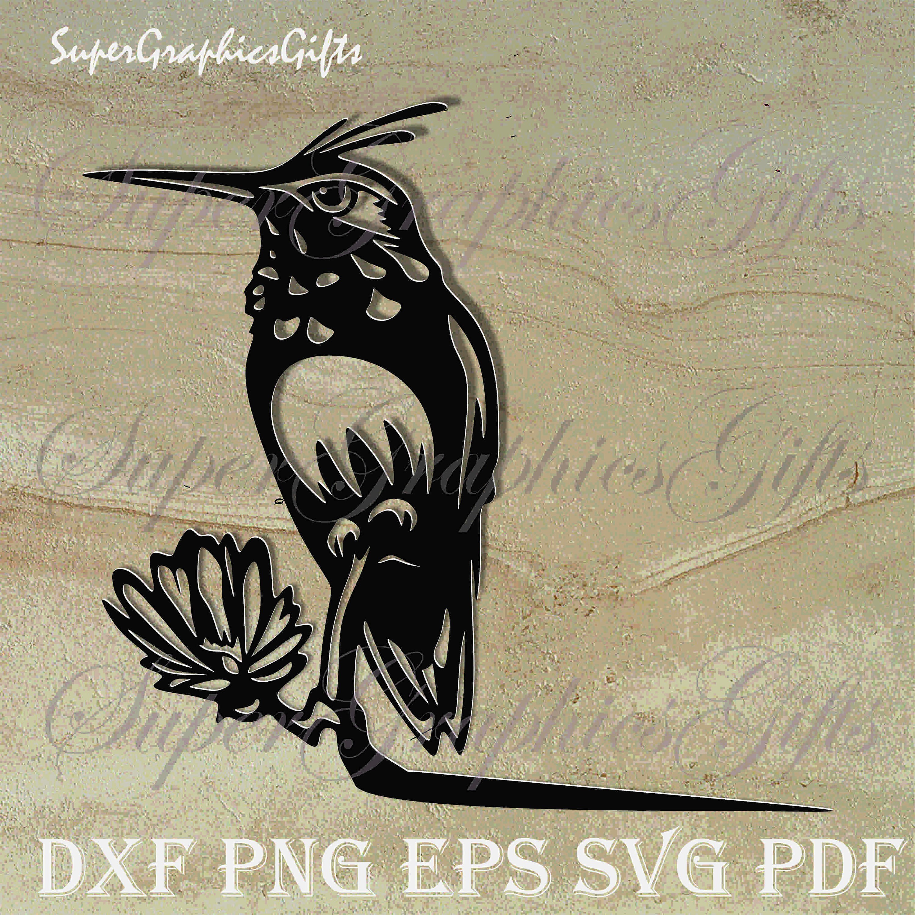 Hummingbird Svgbird Svgtropical Bird Svg Files for - Etsy