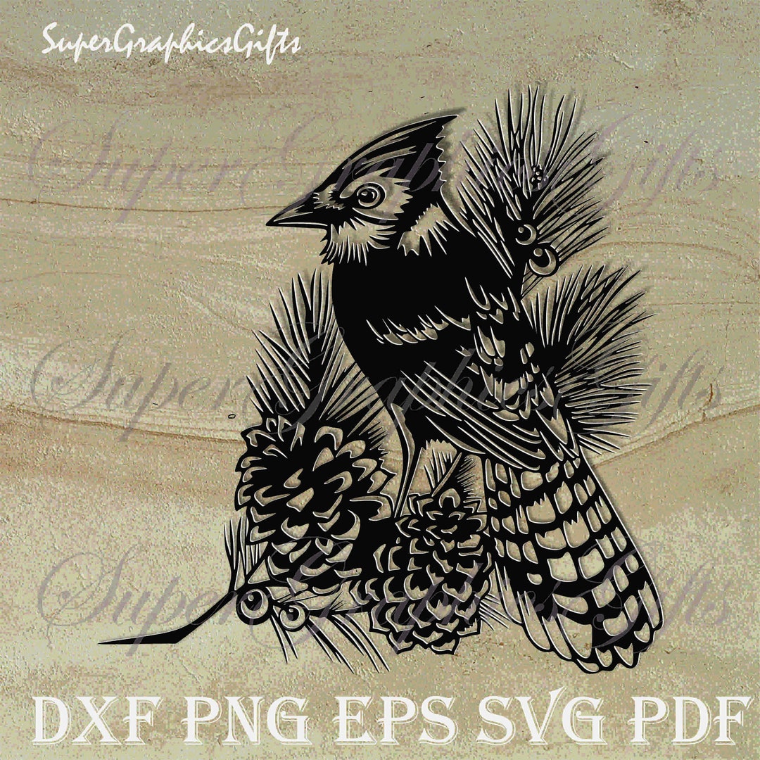 Blue Jay,bird Svg,blue Bird,svg Files for Cricut,laser Engraver Vector ...
