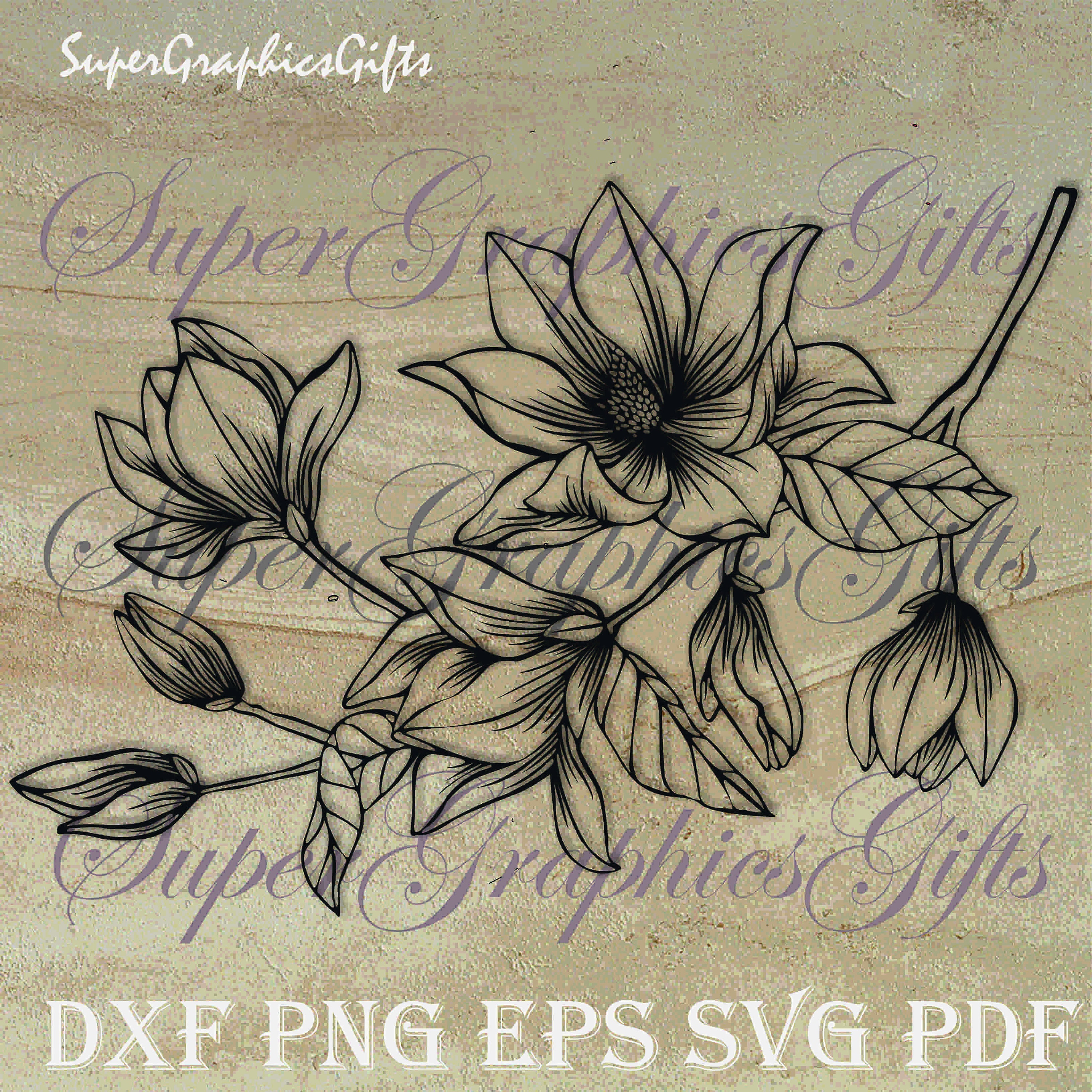 Magnolia Svg Flower Vector Flowers Svg Floral Svg Wildflower - Etsy