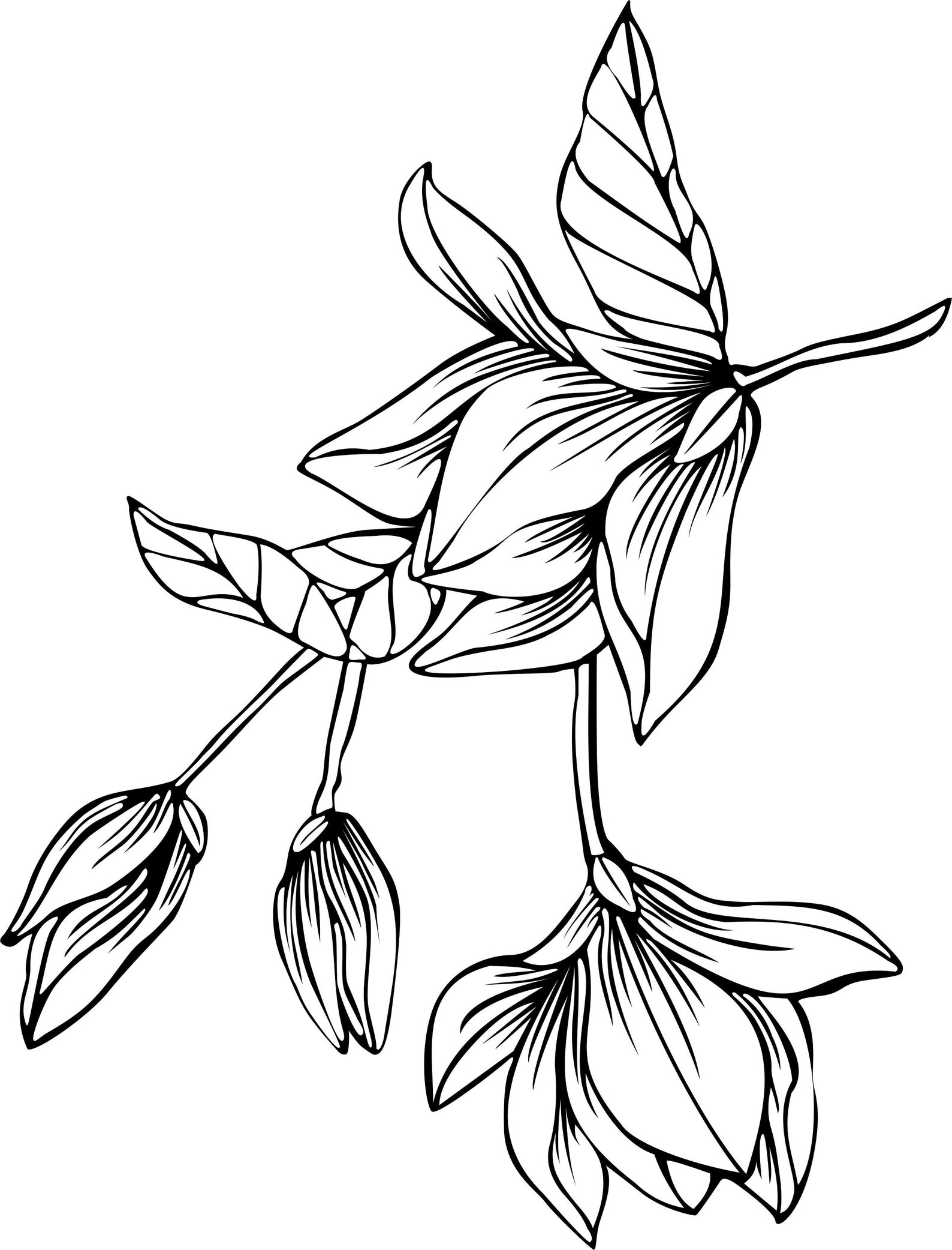 Flower Vector Floral Vector Flowers SVG Flower File Flower | Etsy