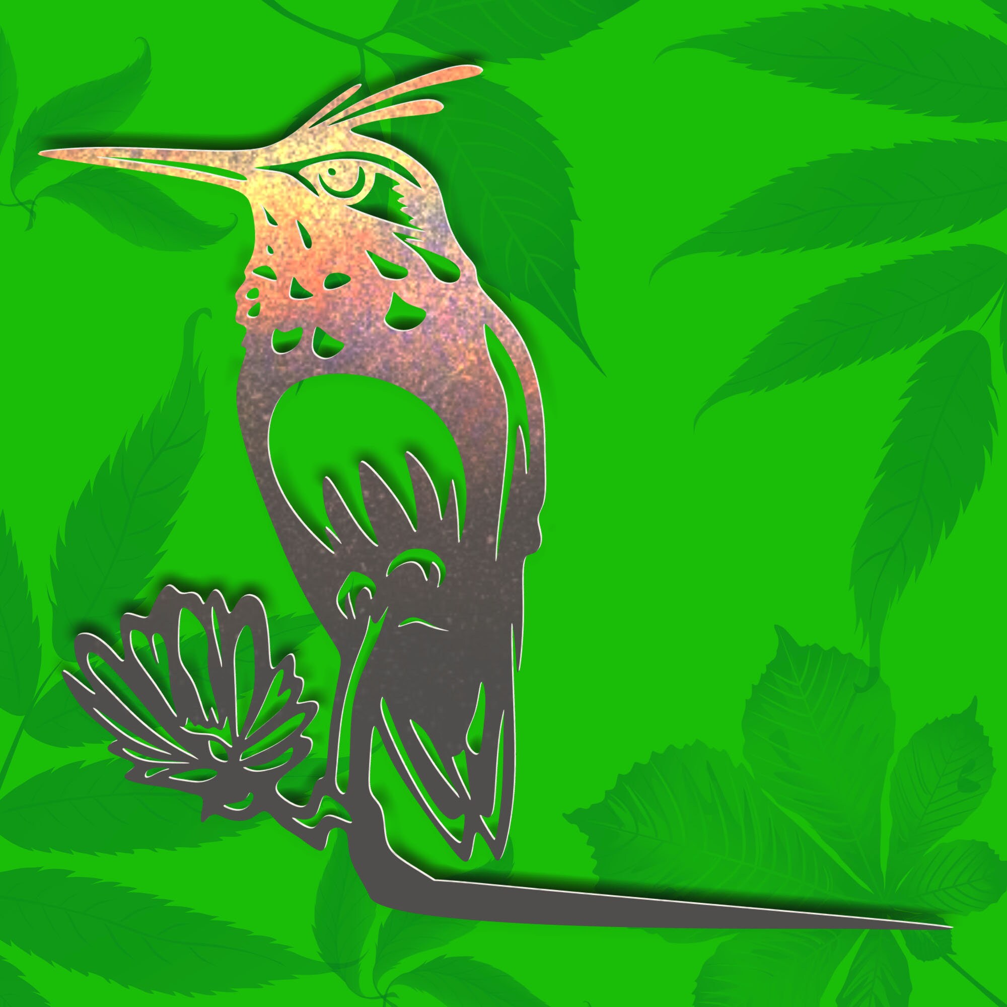 Hummingbird Svgbird Svgtropical Bird Svg Files for | Etsy