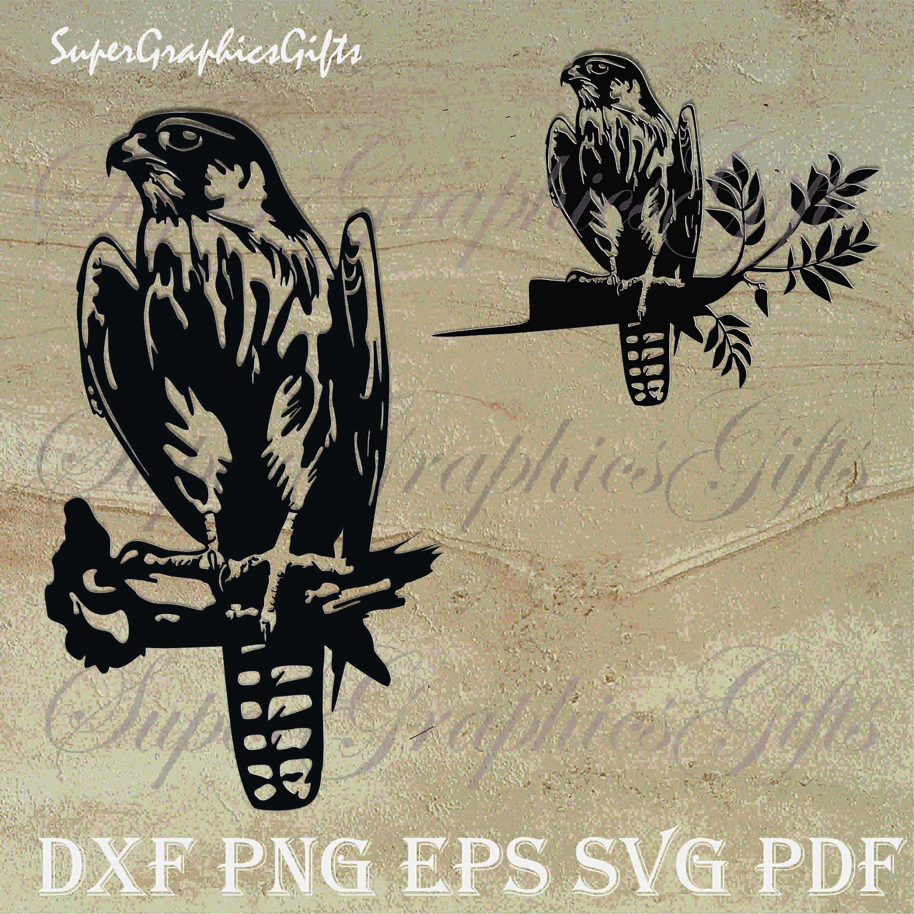 Falcon Svg Silhouette of a Bird Falcon Silhouette the Bird - Etsy