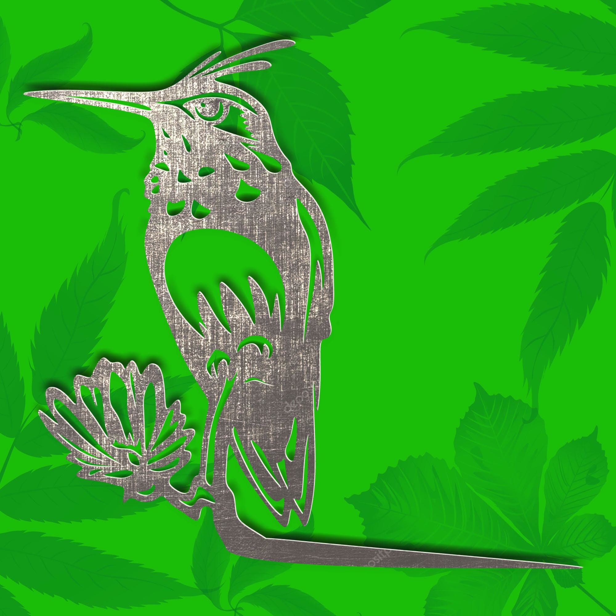 Hummingbird Svgbird Svgtropical Bird Svg Files for | Etsy