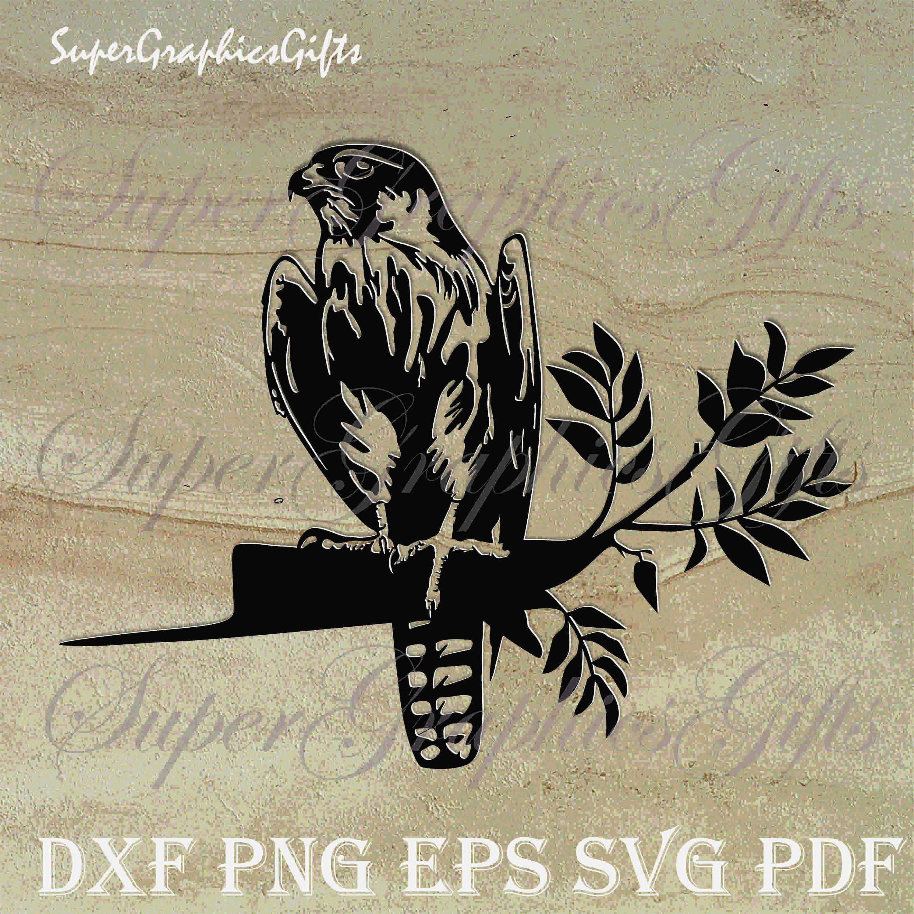 Falcon Svg Silhouette of a Bird Falcon Silhouette the Bird - Etsy