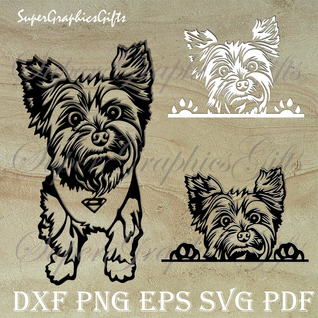 Yorkshire Terrier Svg,dog Svg,dog Breed Svg,puppy Svg,dog Clipart,dog ...