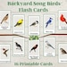 Backyard Song Birds Flashcards: Homeschool Printable (digital Download ...