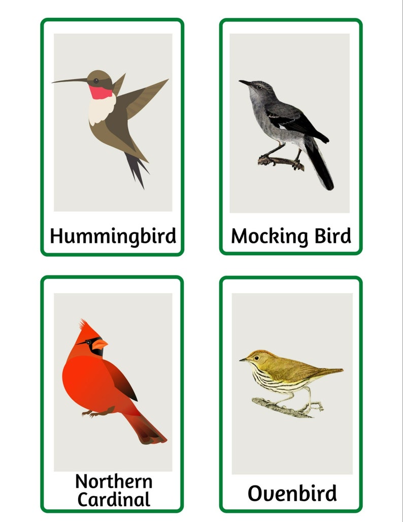 Backyard Song Birds Flashcards: Homeschool Printable (digital Download ...