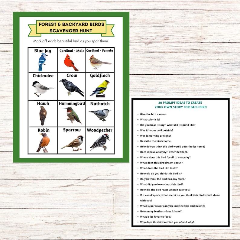 Bird Scavenger Hunt for Kids: Backyard Nature Journal (PDF) - Etsy