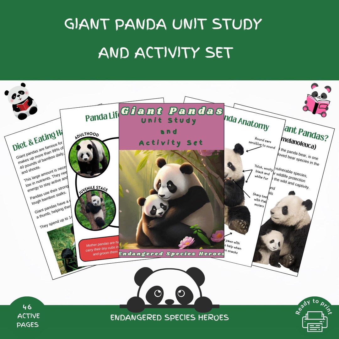 Giant Panda Bear Unit Study and Activity Set | Educators | Home School ...