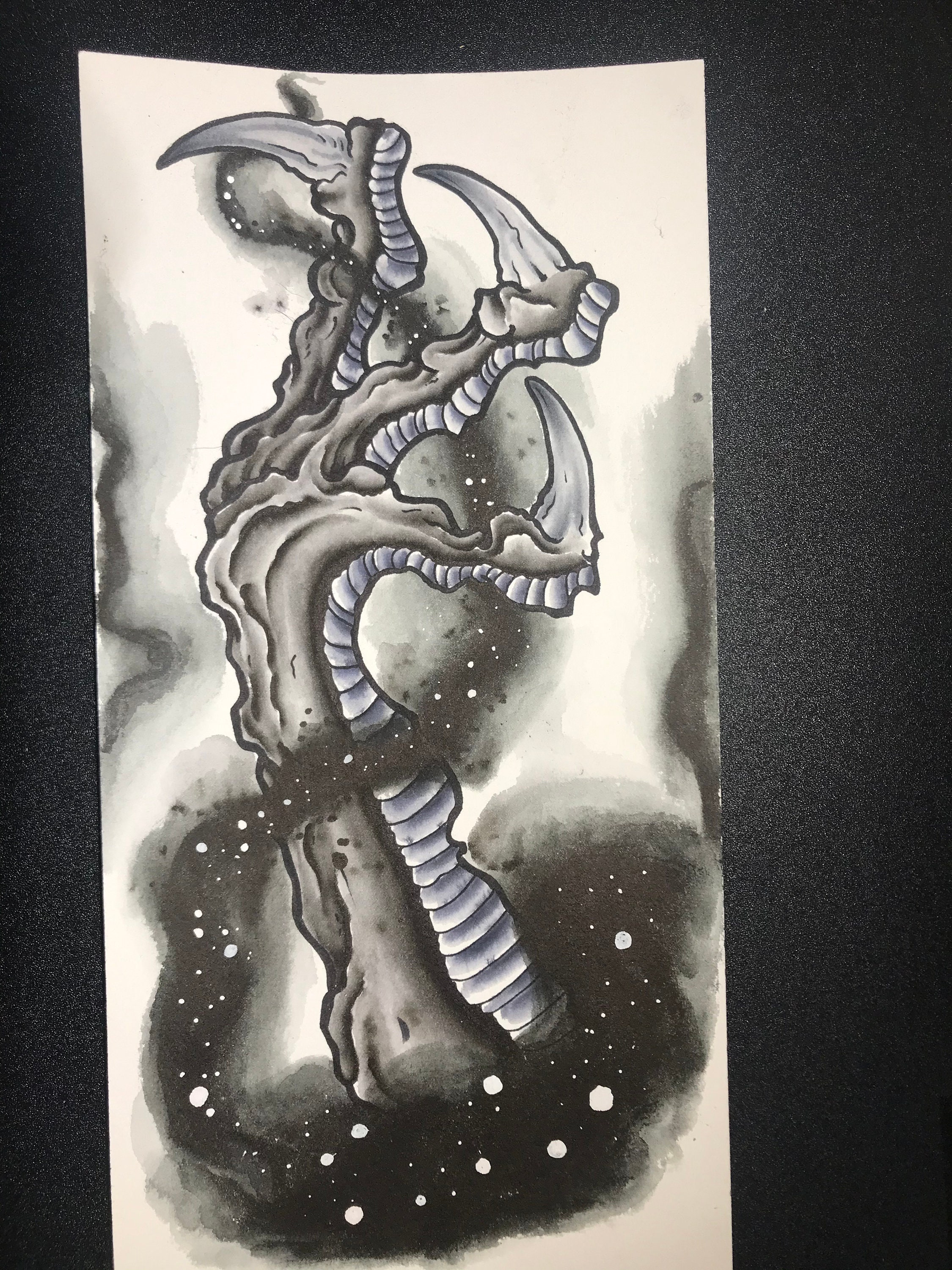 Dragon Claw Drawings