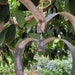 Unique Hand Bent Heart Made From Authentic Reclaimed Wine/whiskey ...