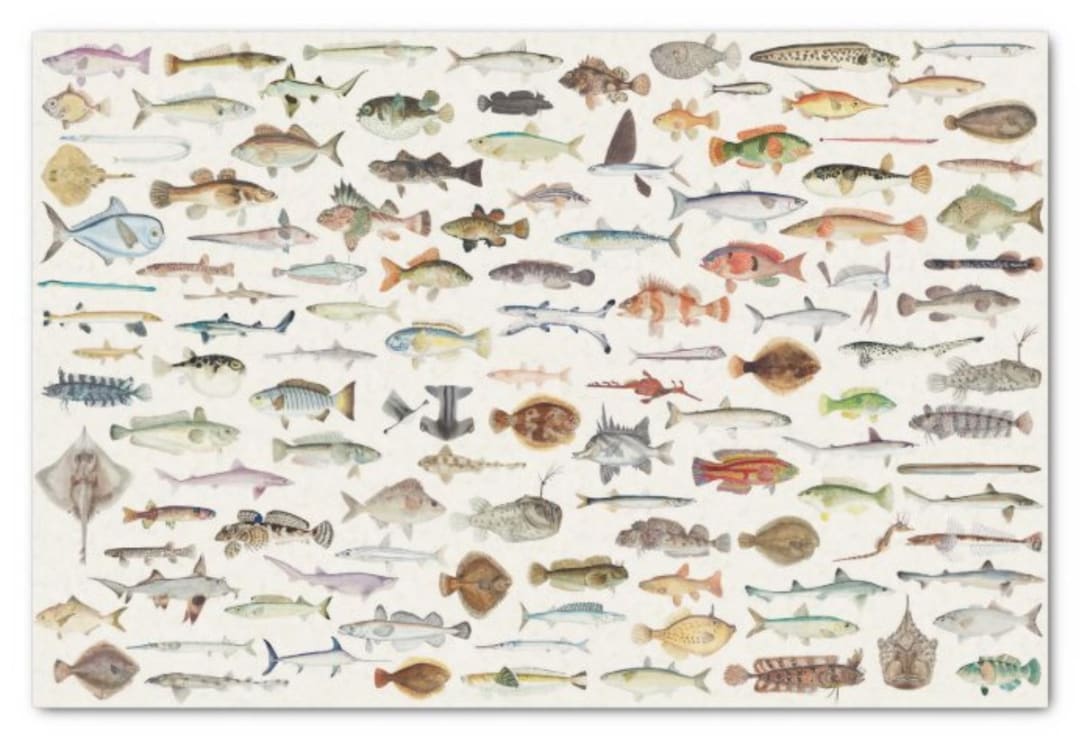 Fish Tissue Paper, Set of 3 - Etsy