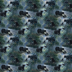 Paws for A Bit Quilt Kit, Features Moonlight Kisses Fabric Northcott ...