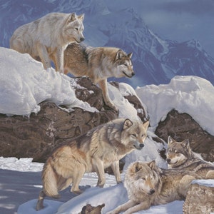Wolf Pack || I'm a KIT || Finishes 65" X 73 || Beginner Skill Level ...