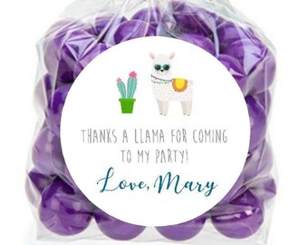 Cactus Llama Birthday Party - Etsy