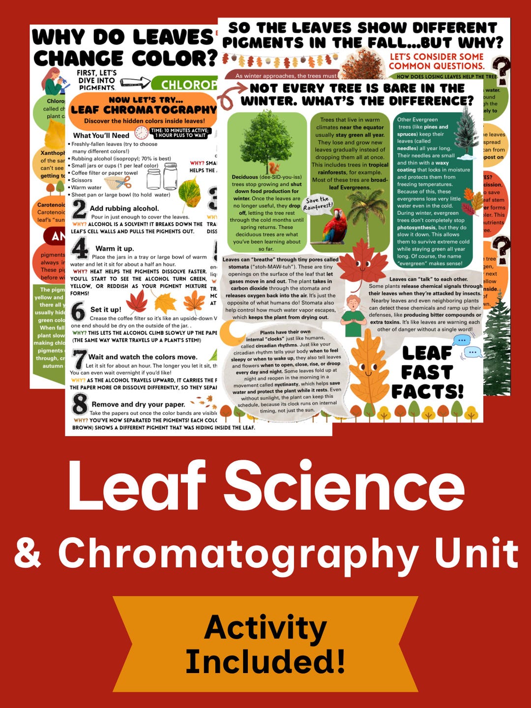 Leaf Science & Chromatography Unit | Fall Plant Pigments Lab ...