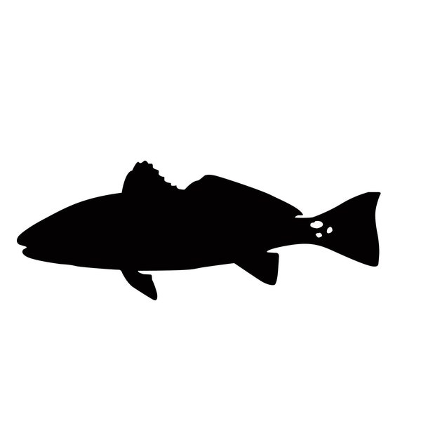 Redfish Svg - Etsy