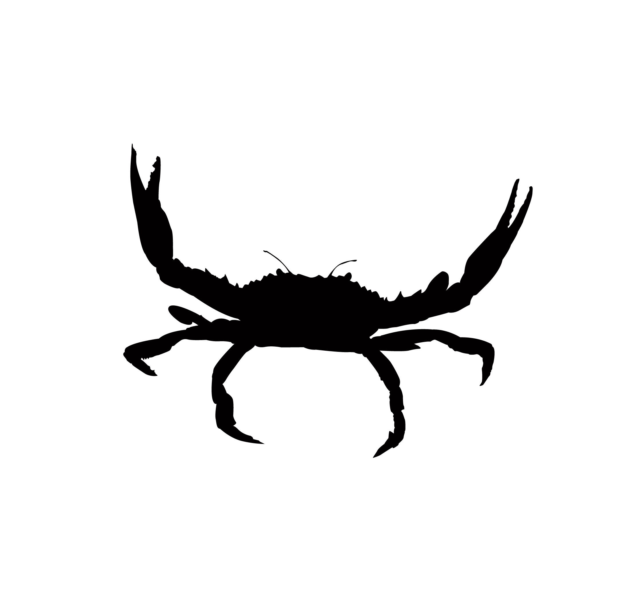 Blue Crab SVG PNG JPEG Nautical Ocean Digital Clip Art Graphic - Etsy