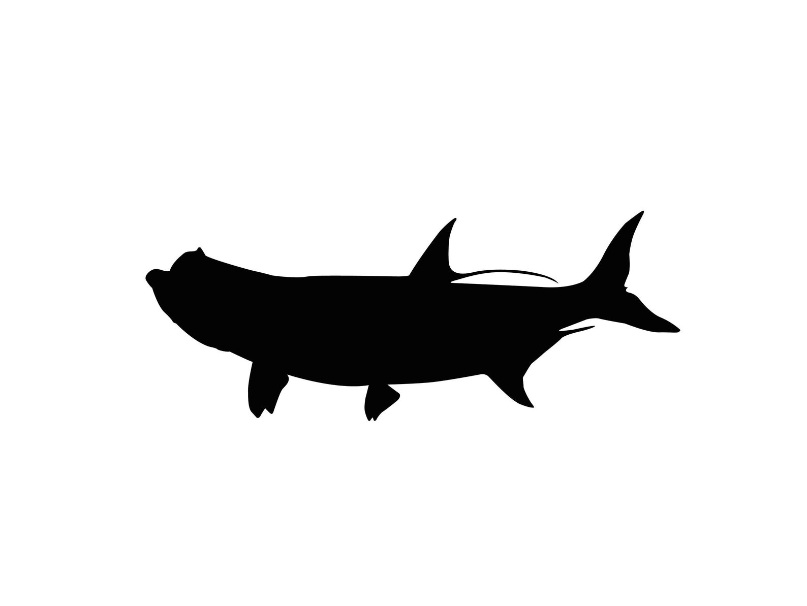 Fish SVG PNG JPEG Tarpon Fish Clip Art Digital Download Graphic Decal ...