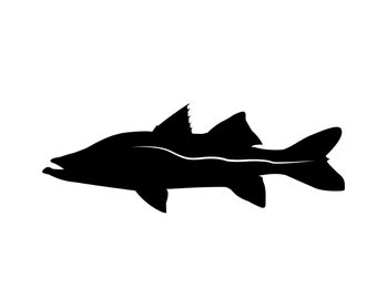 Snook Drawing - Etsy