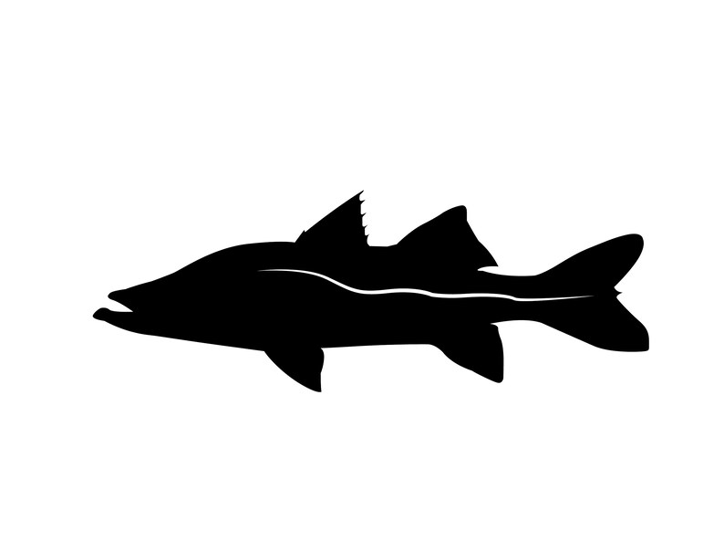 Snook Fish SVG PNG JPEG Clip Art Digital Download Graphic - Etsy Canada