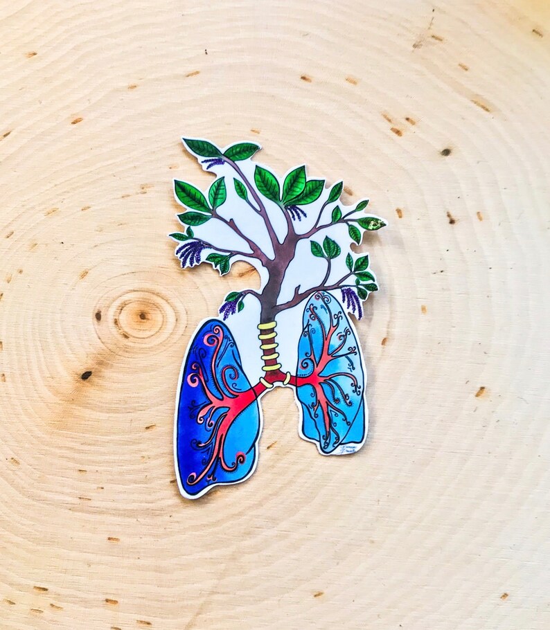 Anatomic Lungs Sticker Lungs Anatomy Respiration - Etsy