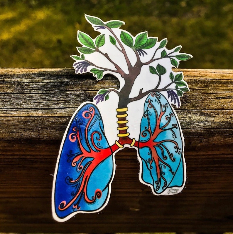 Anatomic Lungs Sticker Lungs Anatomy Respiration - Etsy