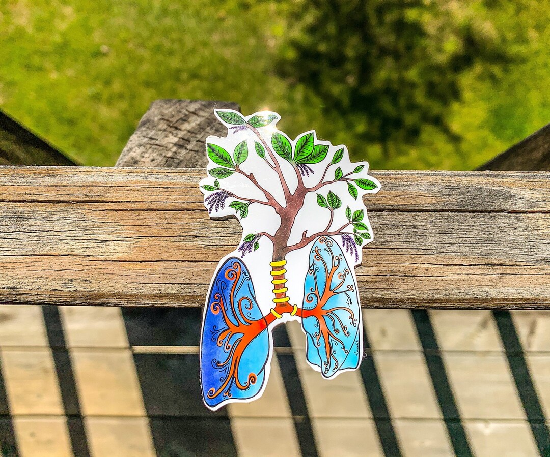Anatomic Lungs Sticker Lungs Anatomy Respiration - Etsy