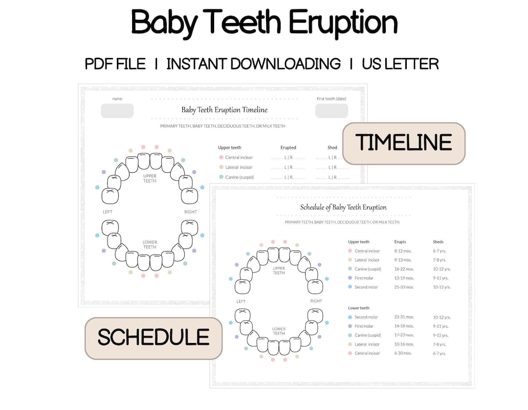 Printable Baby Teething Chart, Baby Tooth Eruption Record, Baby Tooth ...