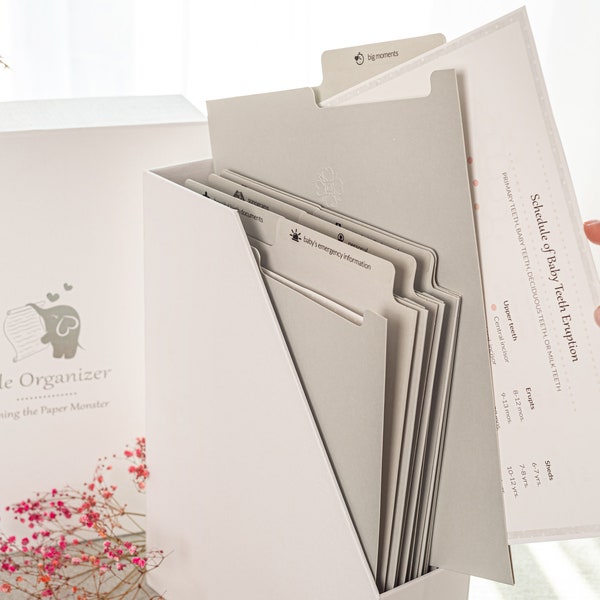 Baby File Organizer - Etsy