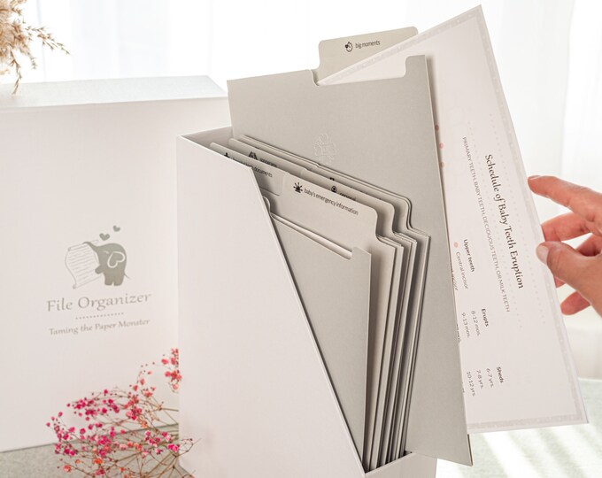 Personalized Baby File Organizer, Luxury Baby Shower Gift, Baby Gift ...
