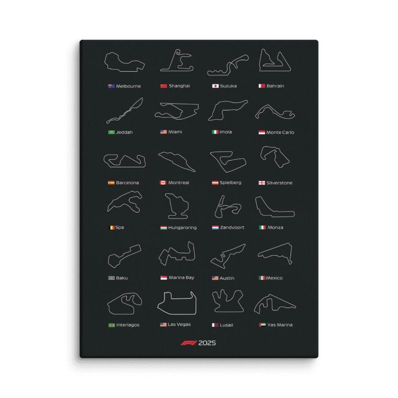 Audi F1 Merch - Etsy