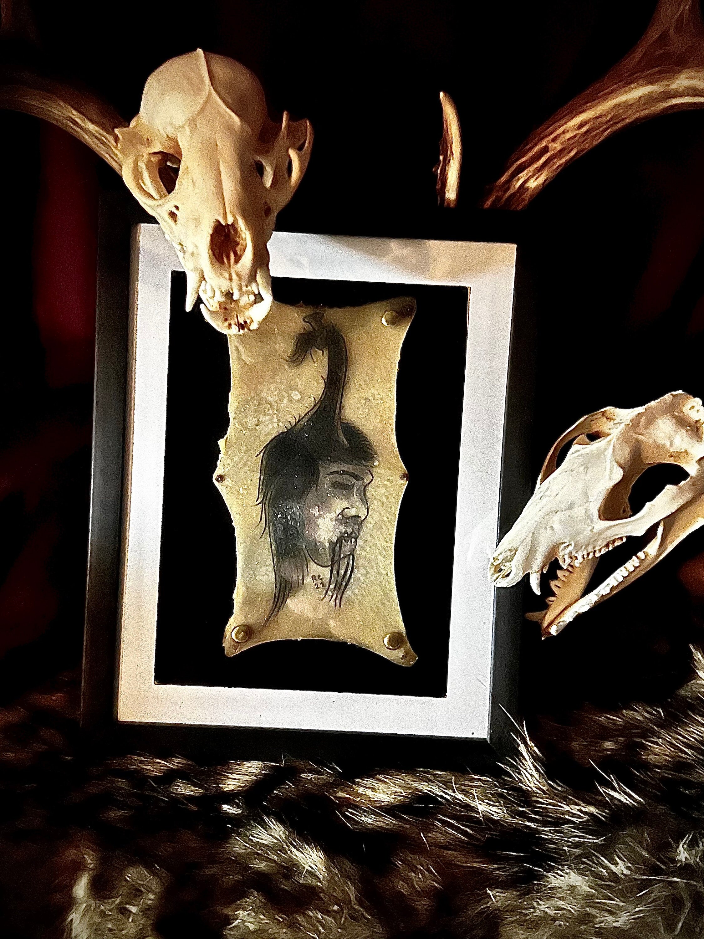 Real Tattooed Skin Shrunken Head - Etsy
