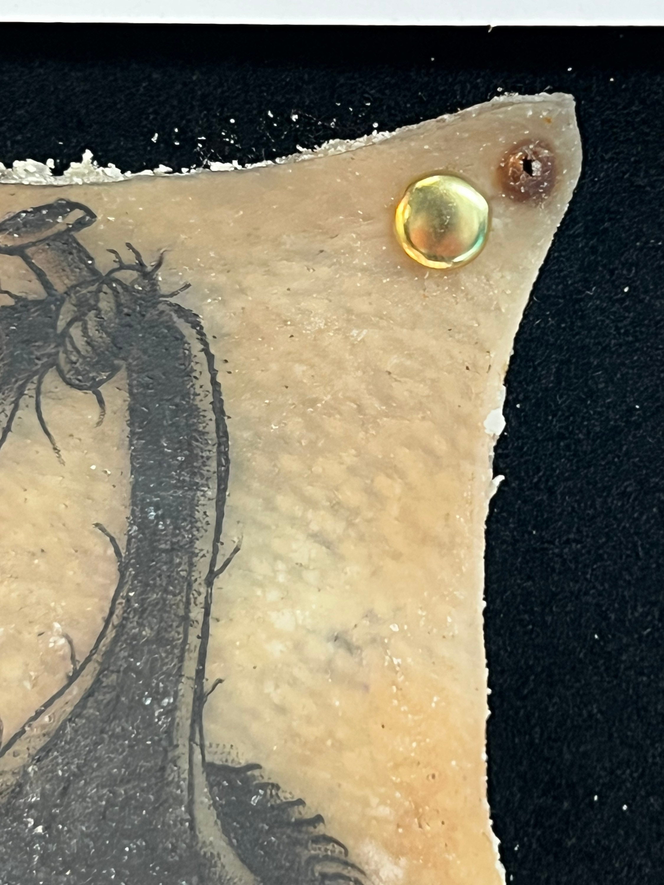 Real Tattooed Skin Shrunken Head - Etsy