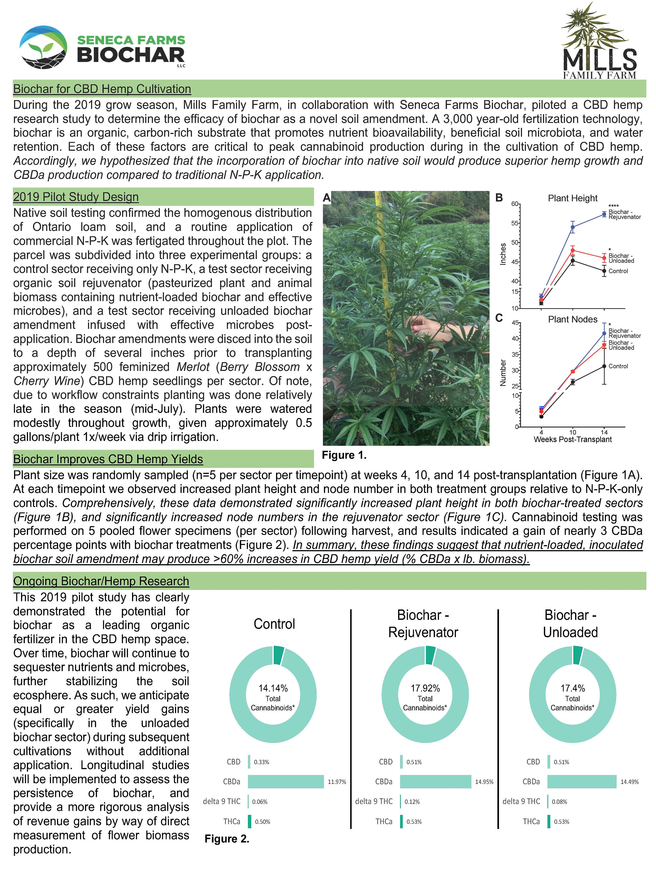 Premium Hardwood Biochar/ Horticultural Charcoal 96 Fl Oz Bag - Etsy