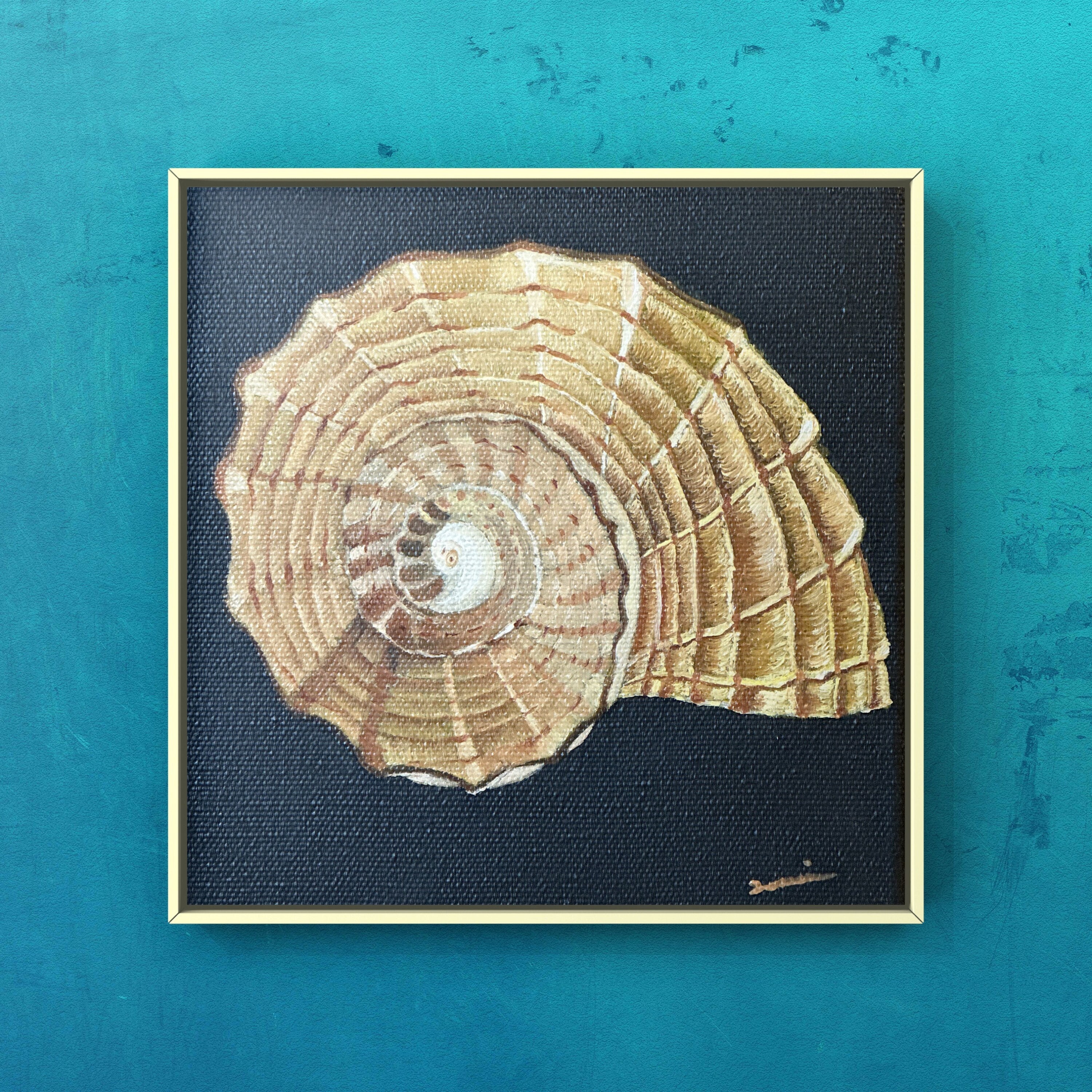 Easy Seashell Paintings