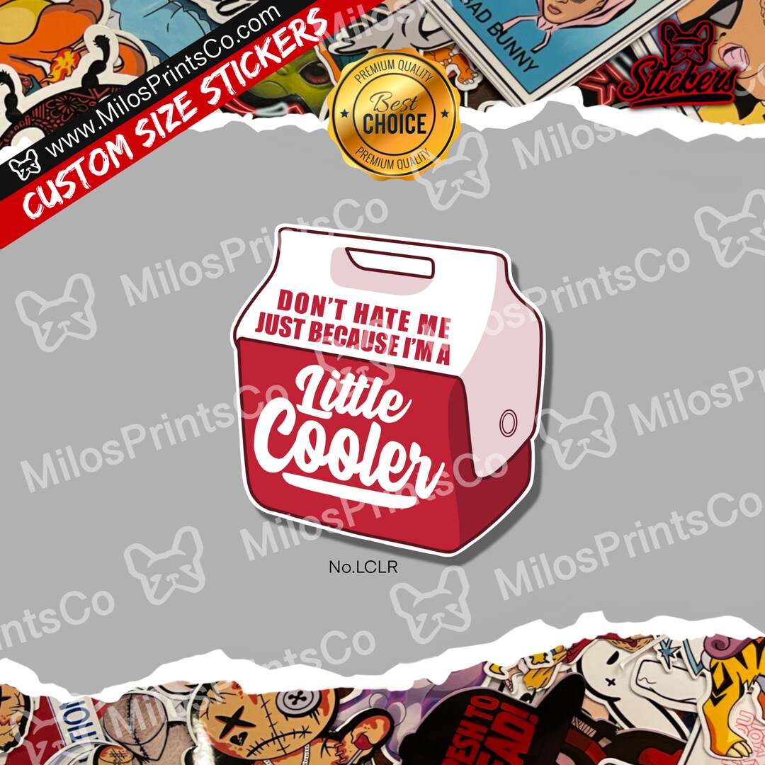 Little Cooler Sticker | Dont Hate Me Cause Im A Little Cooler Vinyl ...