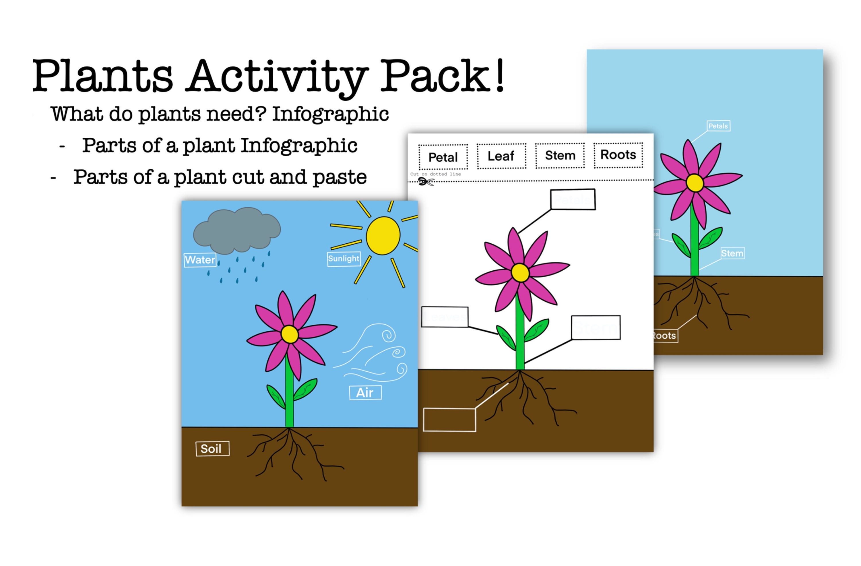 Parts Of A Plant For Kids Cut And Paste