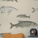 Vintage Fish Wallpaper, Classic Underwater Wall Art, Wainscoting Wall ...