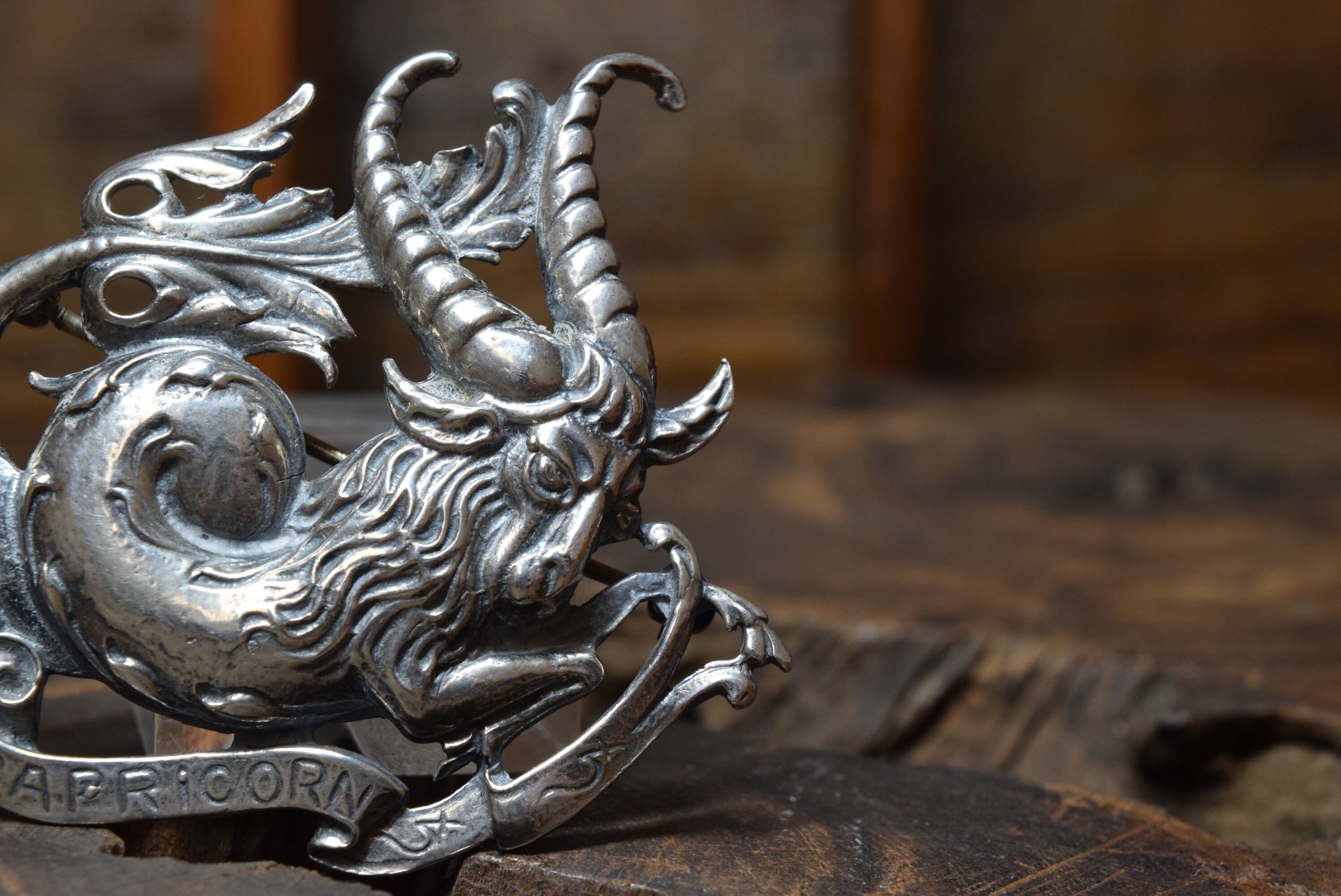 Vintage Collection Sterling Silver Signed "cini" Capricorn Zodiac ...