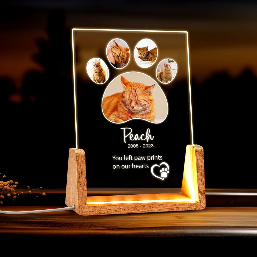 Light up Pet Memorial Gift LED Pet Frame Pet Memorial Keepsake Pet ...