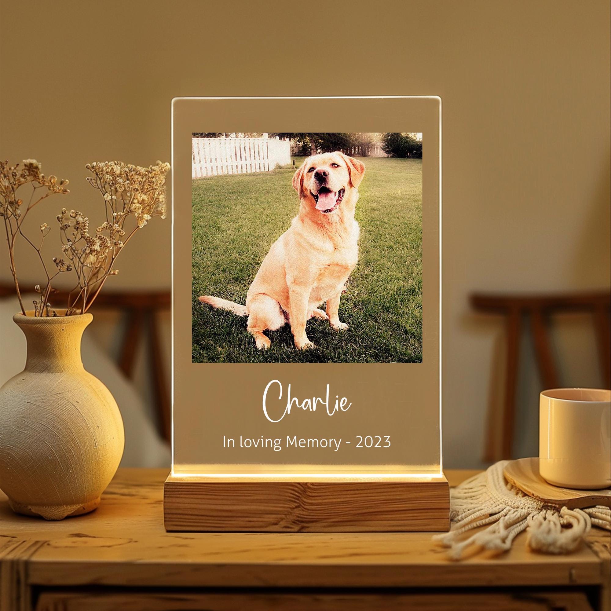 Personalized Pet Memorial LED Night Light: Custom Photo Keepsake - Etsy