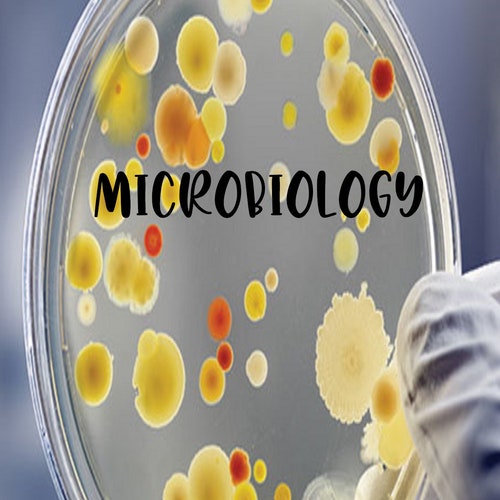 Microbiology Notes / Study Guide for Nursing Students 80 Pages - Etsy