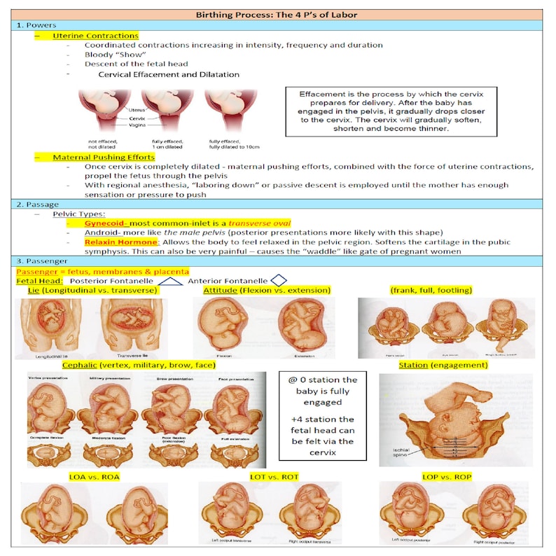 Normal Birth Labor and Delivery Study Notes 4 Pages - Etsy